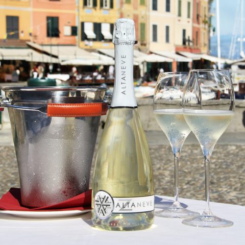 OUR WINES | Altaneve