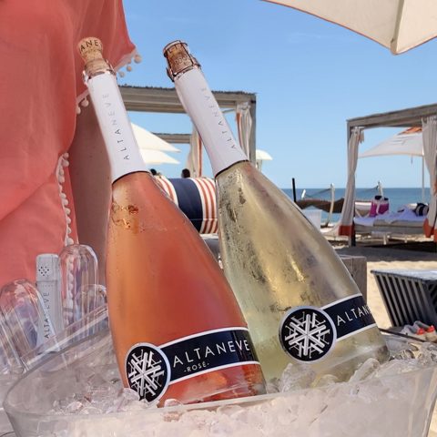 OUR WINES | Altaneve