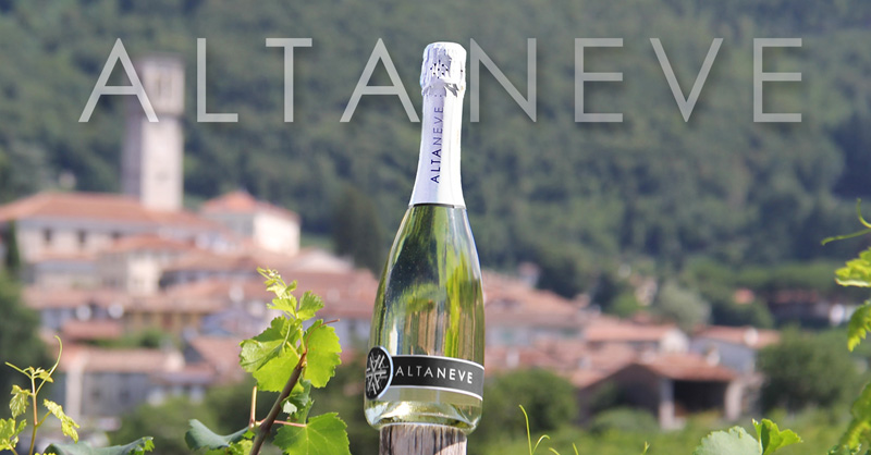 OUR WINES | Altaneve